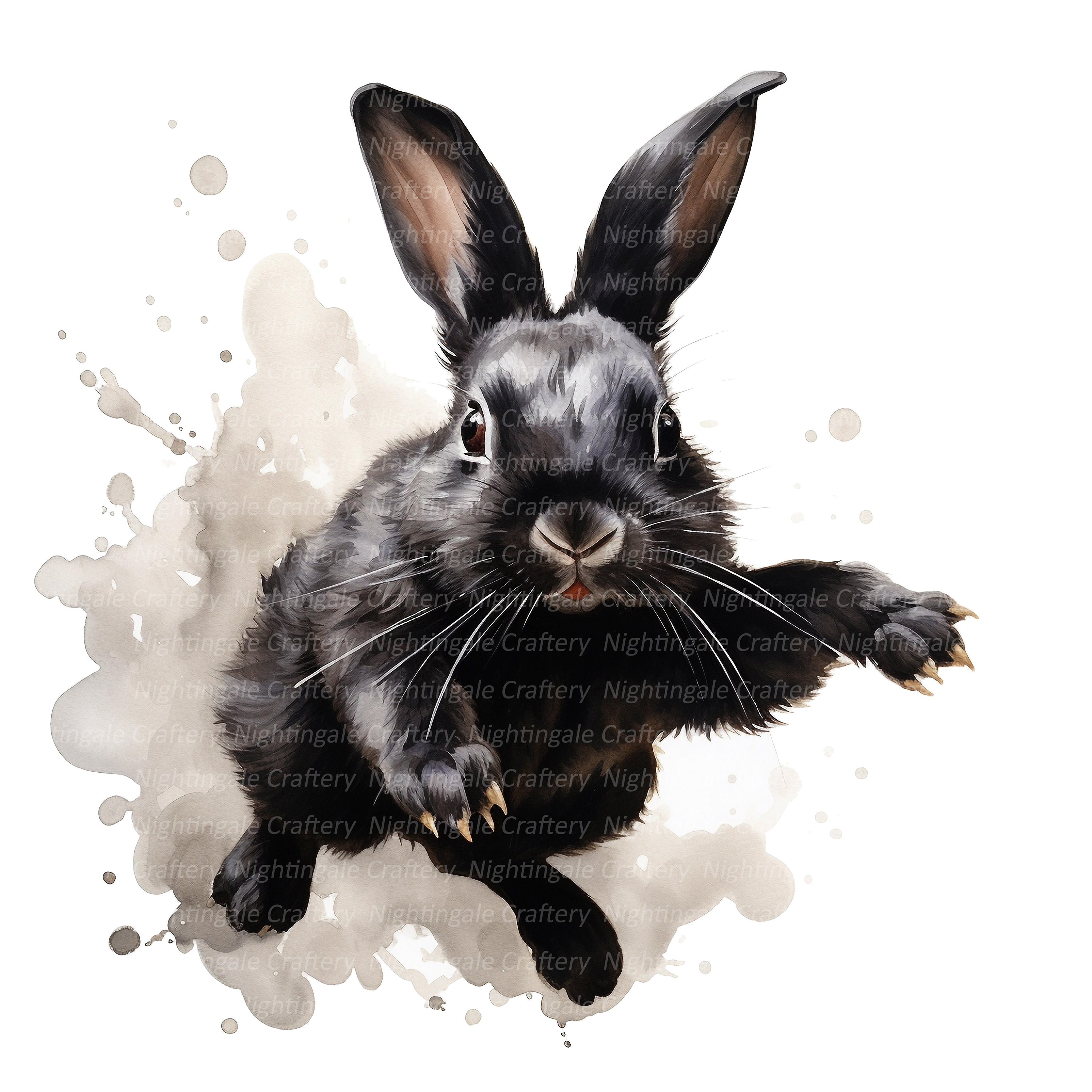 10 Black Bunny Clipart Black Rabbit Clipart Printable - Etsy Australia