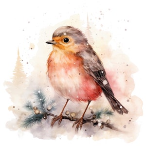 8 Christmas Robin Clipart Set 3, Printable Watercolor Clipart, High ...