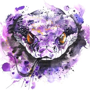 8 Purple Snake Clipart, Snake Eyes, Cobra Print, Printable Watercolor ...