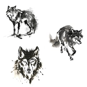 Sumi Ink Wolf Clipart, Wolf Sumi Ink Art Drawing, 15 High Quality Jpgs ...