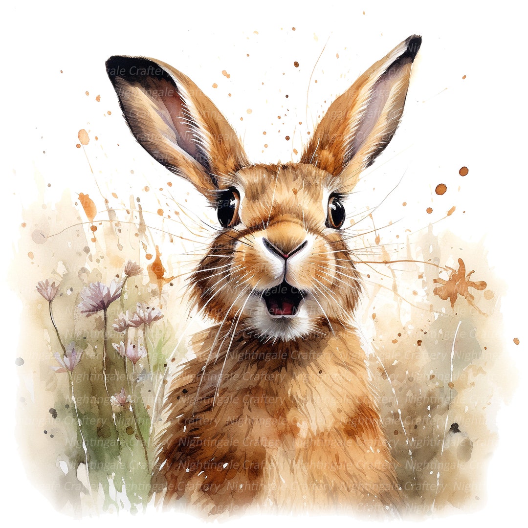 10 Surprised Hare Clipart, Amazed Rabbit, Printable Watercolor Clipart ...