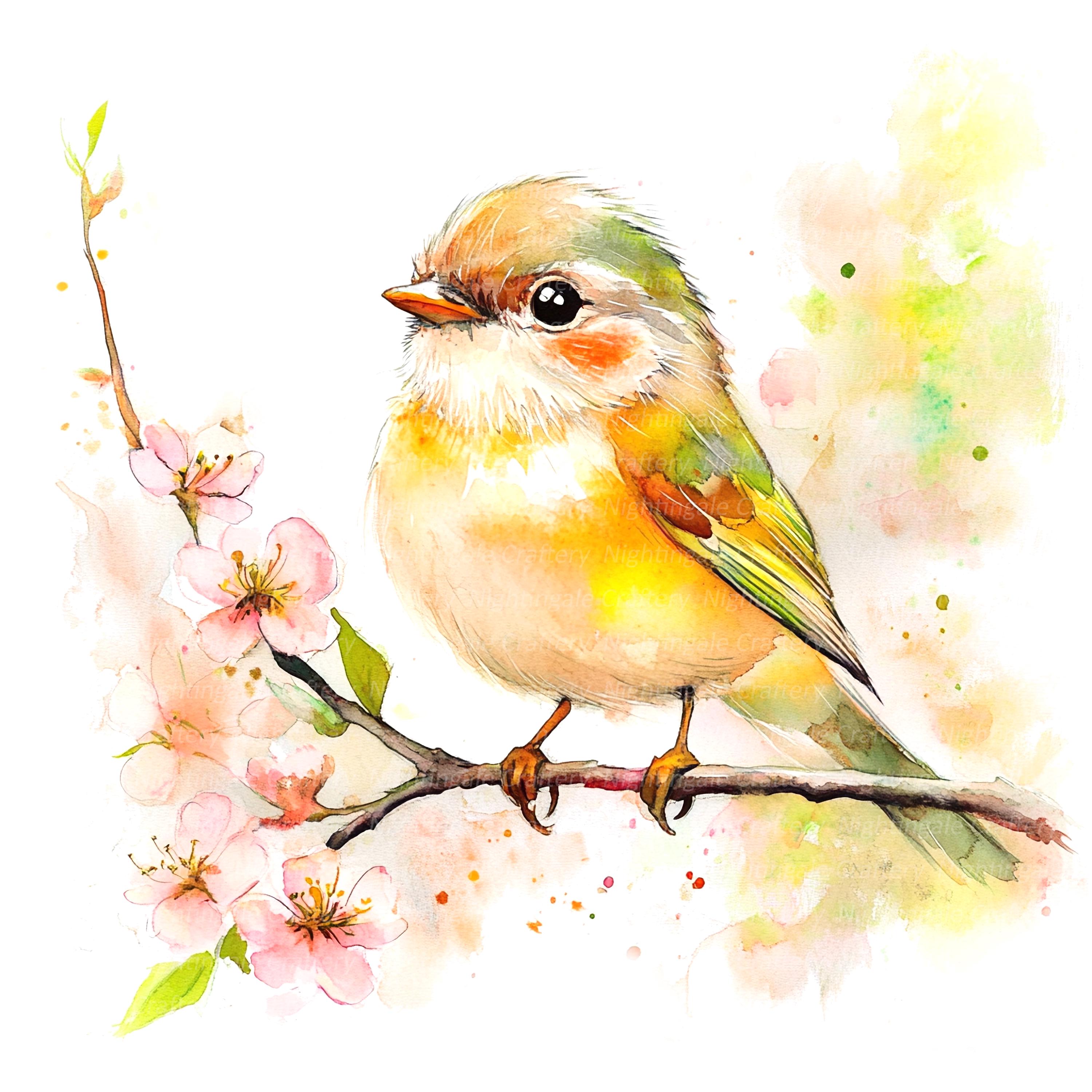 10 Floral Bird Clipart, Spring Birds Clipart, Printable Watercolor ...