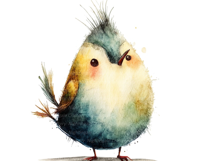 18 Whimsical Birds Clipart, Funny Birds, Digital Clipart, Watercolor ...