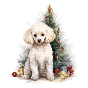 14 Christmas Poodle Clipart, Pudel, Printable Watercolor Clipart, High ...