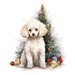 14 Christmas Poodle Clipart, Pudel, Printable Watercolor Clipart, High ...