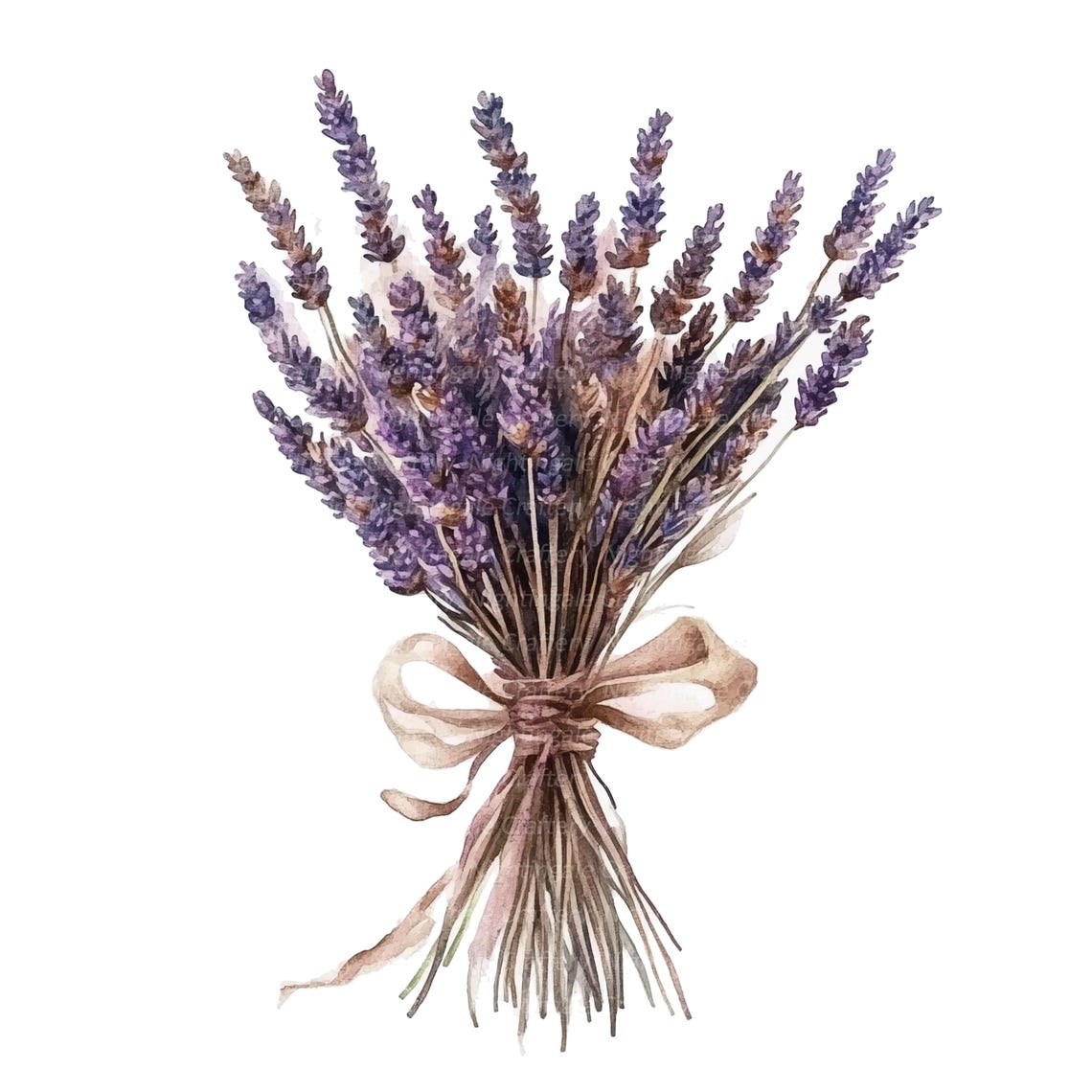 Lavender Clipart, Lavender Bouquet Set, Printable Watercolor Clipart ...