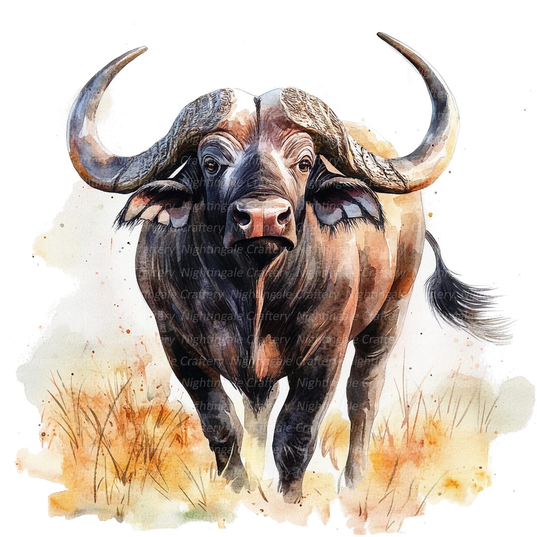 10 African Buffalo Clipart, Safari Buffalo, Printable Watercolor ...