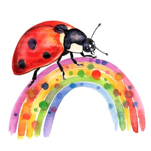 8 Cartoon Ladybird Clipart, Cartoon Rainbow Clipart, Printable ...