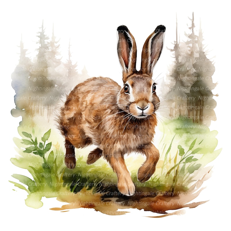 Hare in Forest Clipart Printable Watercolor Clipart 12 High - Etsy