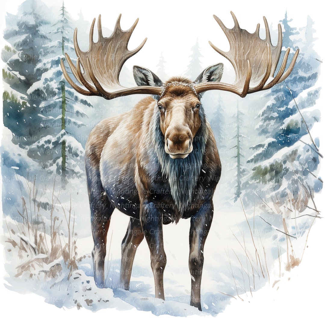 10 Moose in Winter Clipart, Printable Watercolor Clipart, High Quality ...