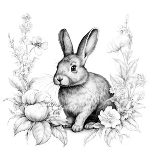 10 Bunny Black Ink Clipart, Line Art Clipart, Printable Watercolor ...