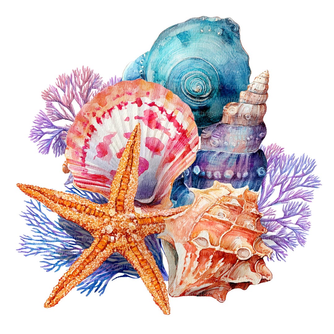 8 PNG Seashells Clipart, Sea Shell Corals, Printable Watercolor Clipart ...