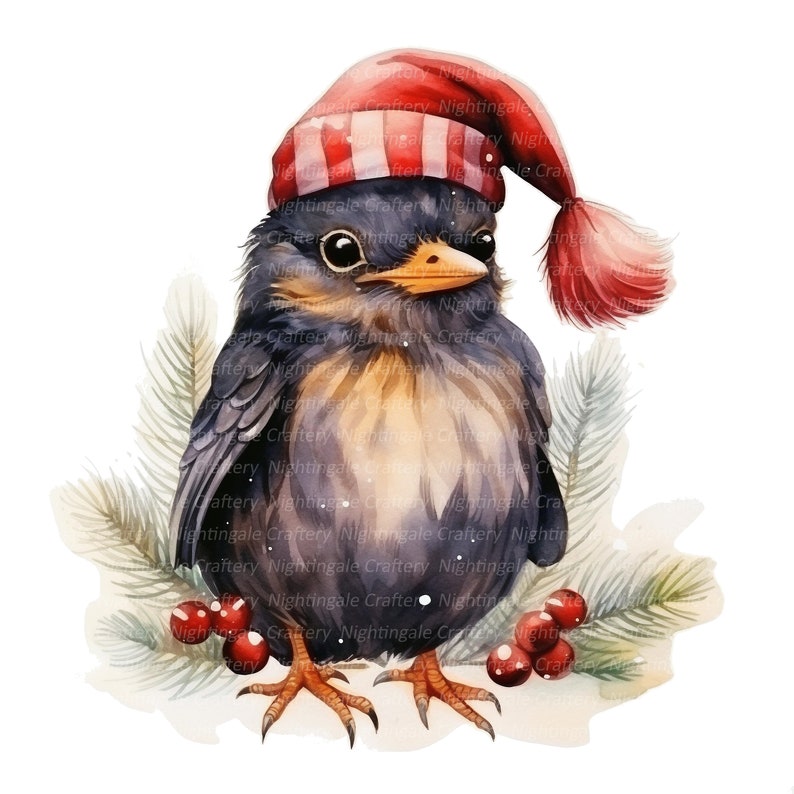12 Christmas Blackbird Clipart, Black Bird, Printable Watercolor ...