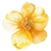 10 Abstract Flowers Clipart, Yellow Flower, Flowers Print, Printable ...
