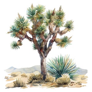 9 Joshua Tree Clipart, Joshua Tree Print, Printable Watercolor Clipart ...