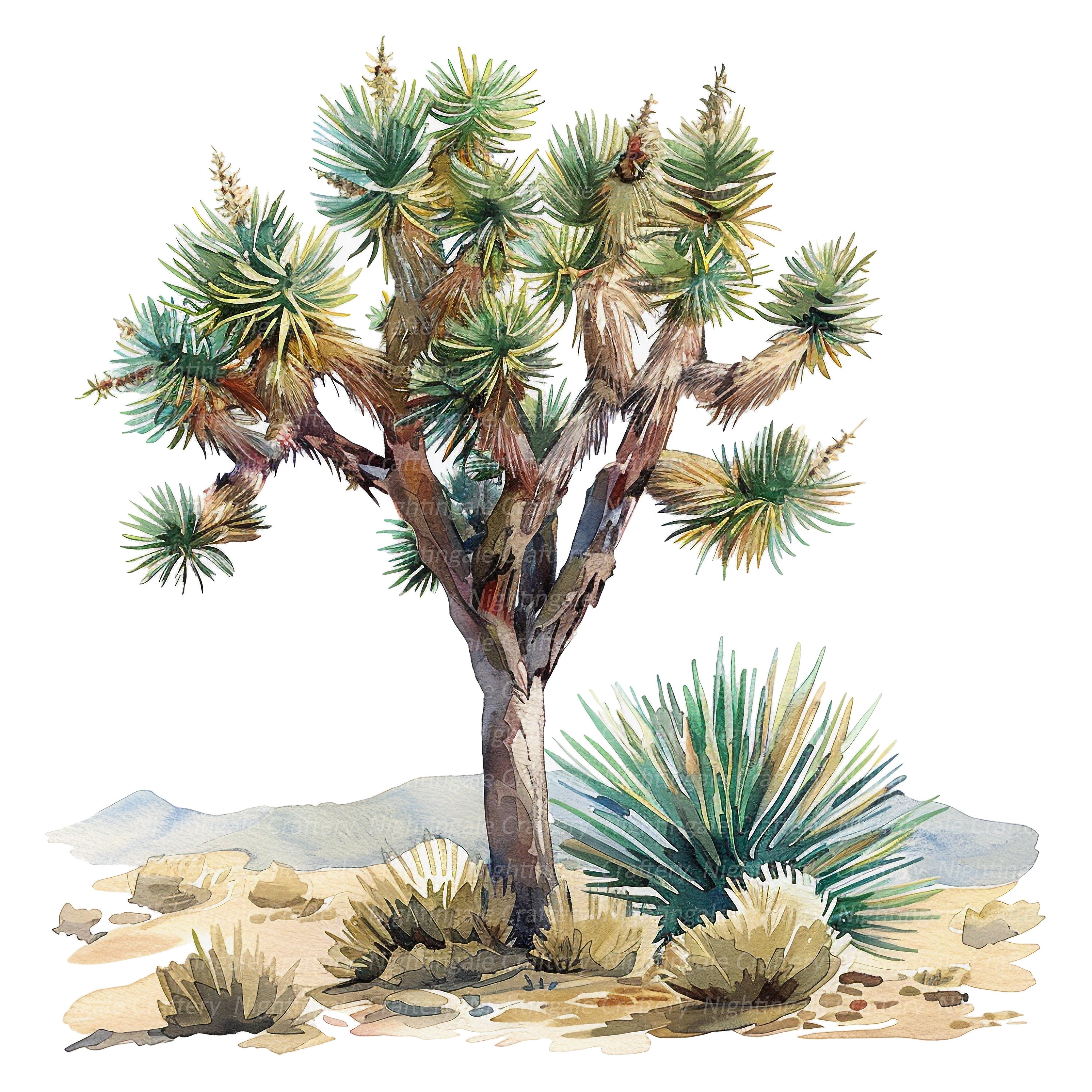 9 Joshua Tree Clipart, Joshua Tree Print, Printable Watercolor Clipart ...