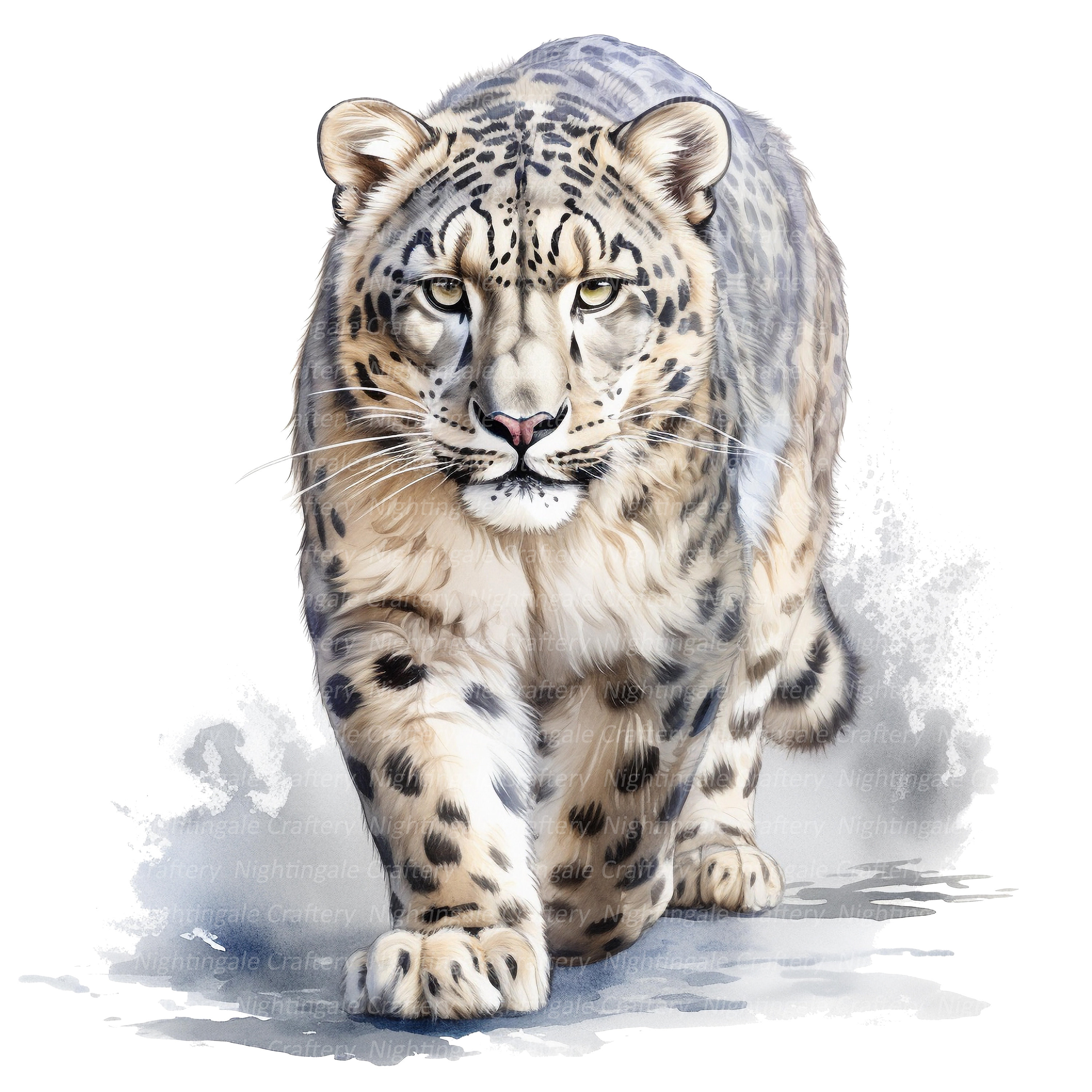 12 Snow Leopard Clipart Printable Watercolor Clipart 12 High - Etsy