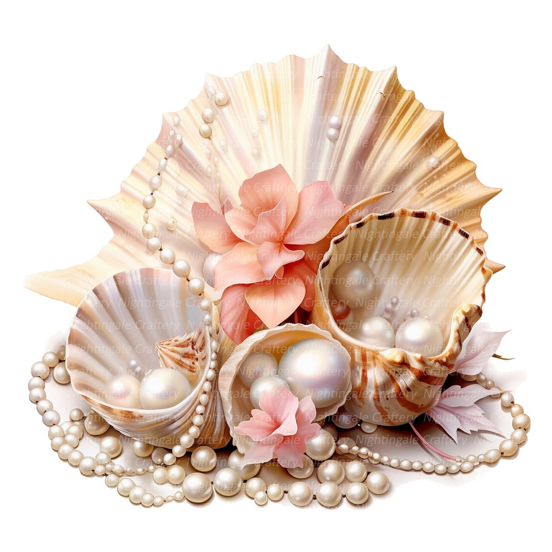 16 Seashells Pearls Clipart, Sea Shell Clipart, Printable Watercolor ...