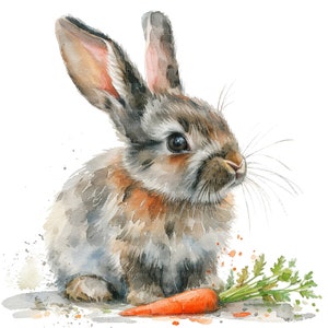 10 Bunny With Carrot Clipart, Rabbit Clipart, Printable Watercolor ...