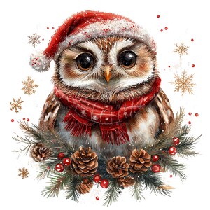 9 Christmas Owl Clipart Set 2, Christmas Card, Printable Watercolor ...