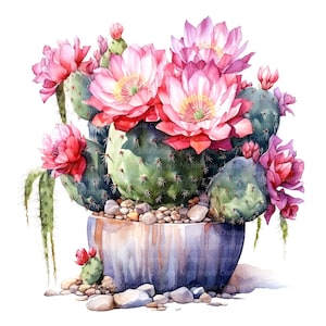 12 Cactus in Pot Clipart, Blooming Cactus, Printable Watercolor Clipart ...