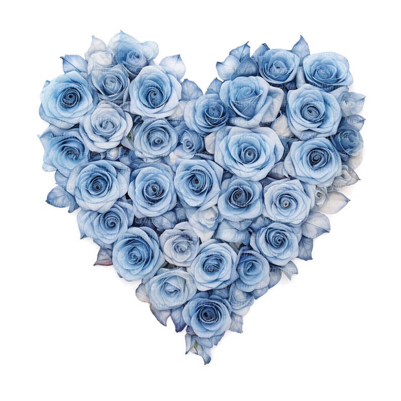 14 Roses Heart Clipart Floral Heart Digital Clipart - Etsy