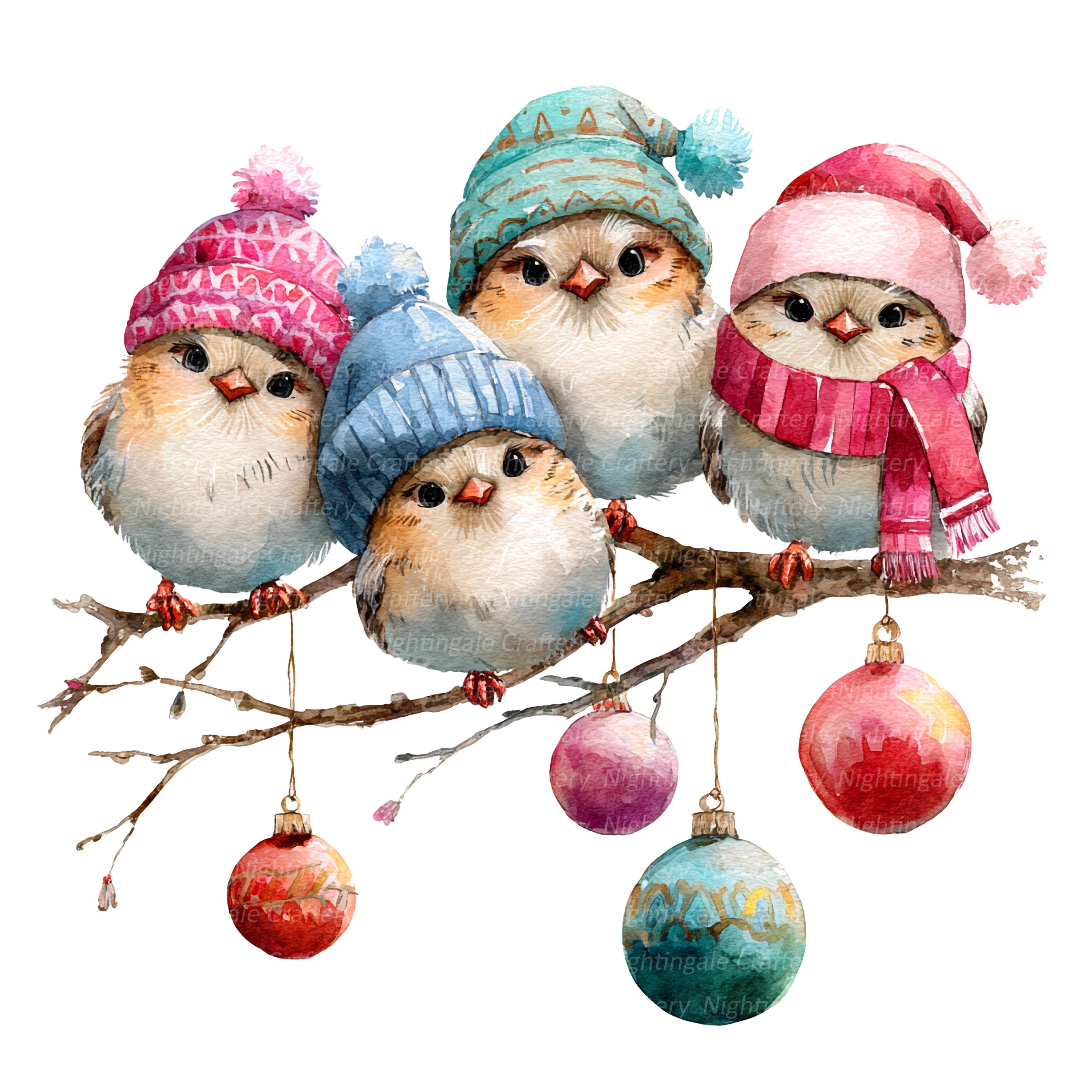 10 Funny Christmas Birds Clipart, Robin, Printable Watercolor Clipart ...