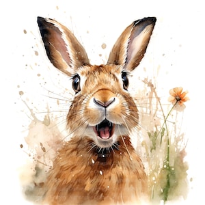 10 Surprised Hare Clipart, Amazed Rabbit, Printable Watercolor Clipart ...