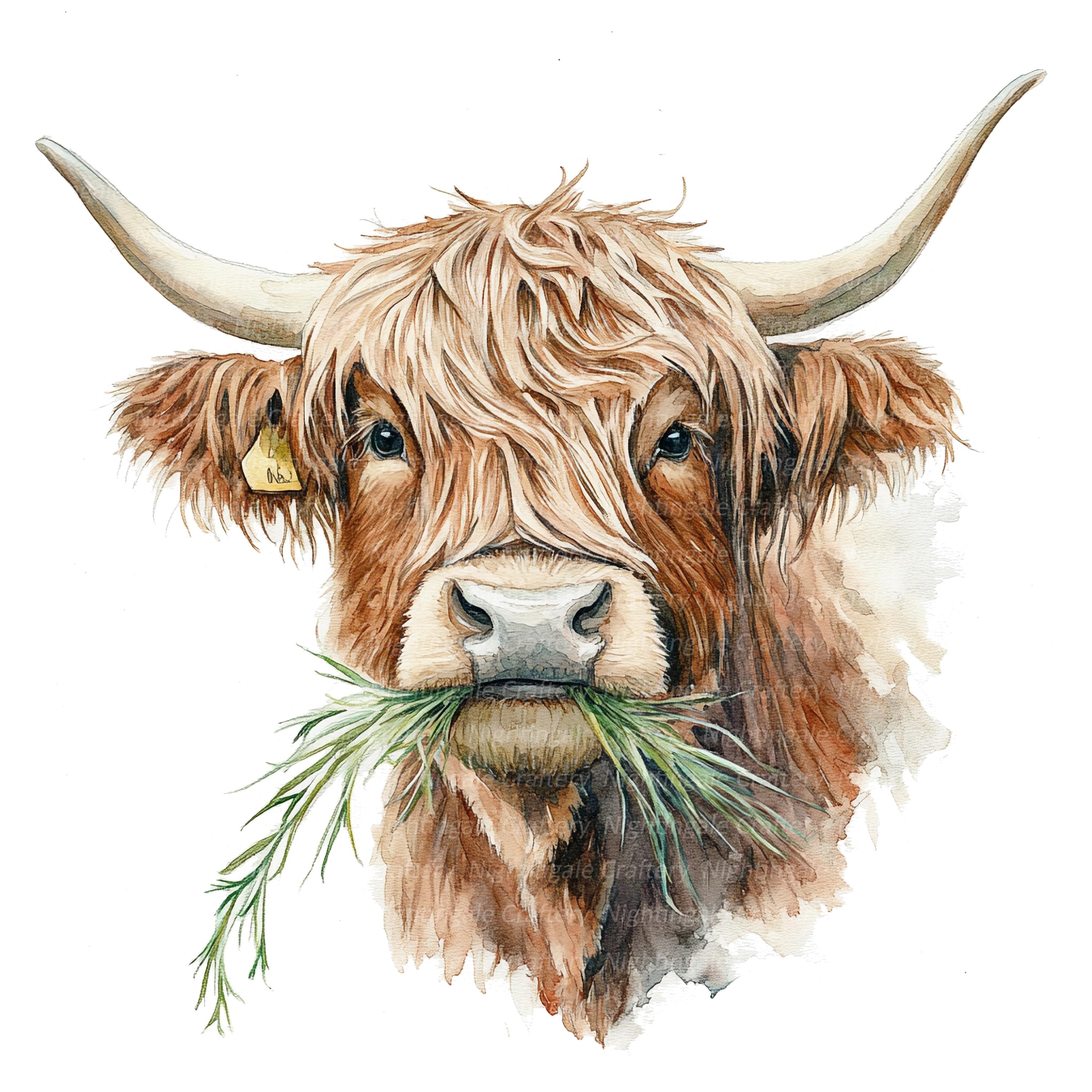 13 Highland Cow Clipart, Farm Cow Clipart, Printable Watercolor Clipart ...