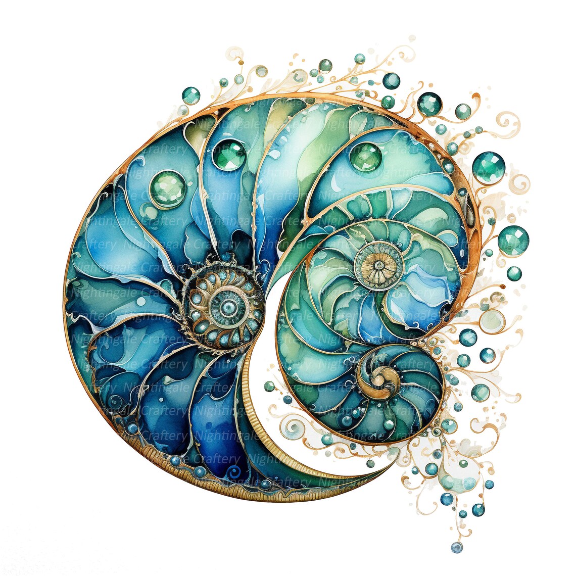 12 Abstract Paua Shells Clipart, Spiral Shells, Printable Watercolor ...
