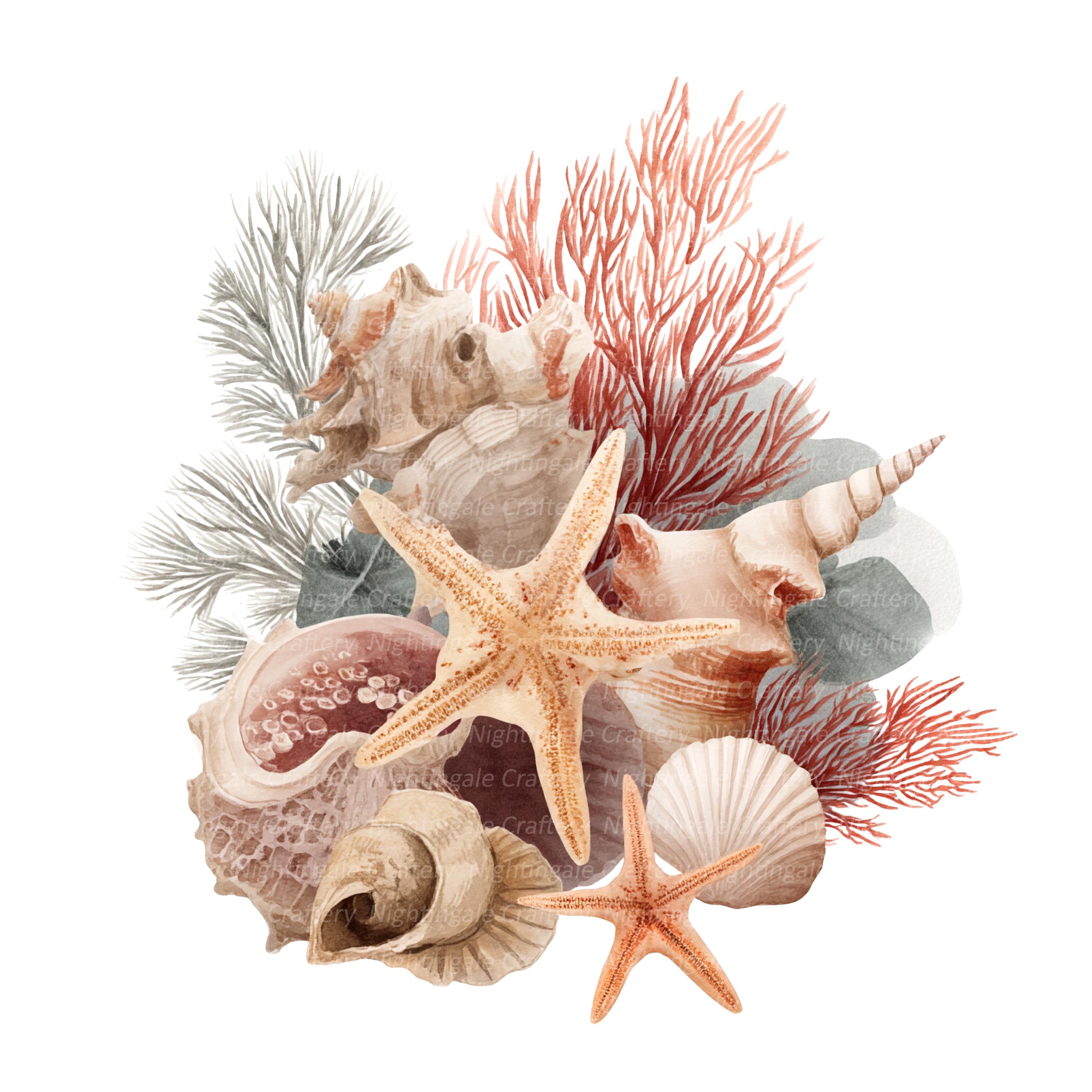 10 Boho Sea Shells Clipart, Seashell Clipart, Printable Watercolor ...