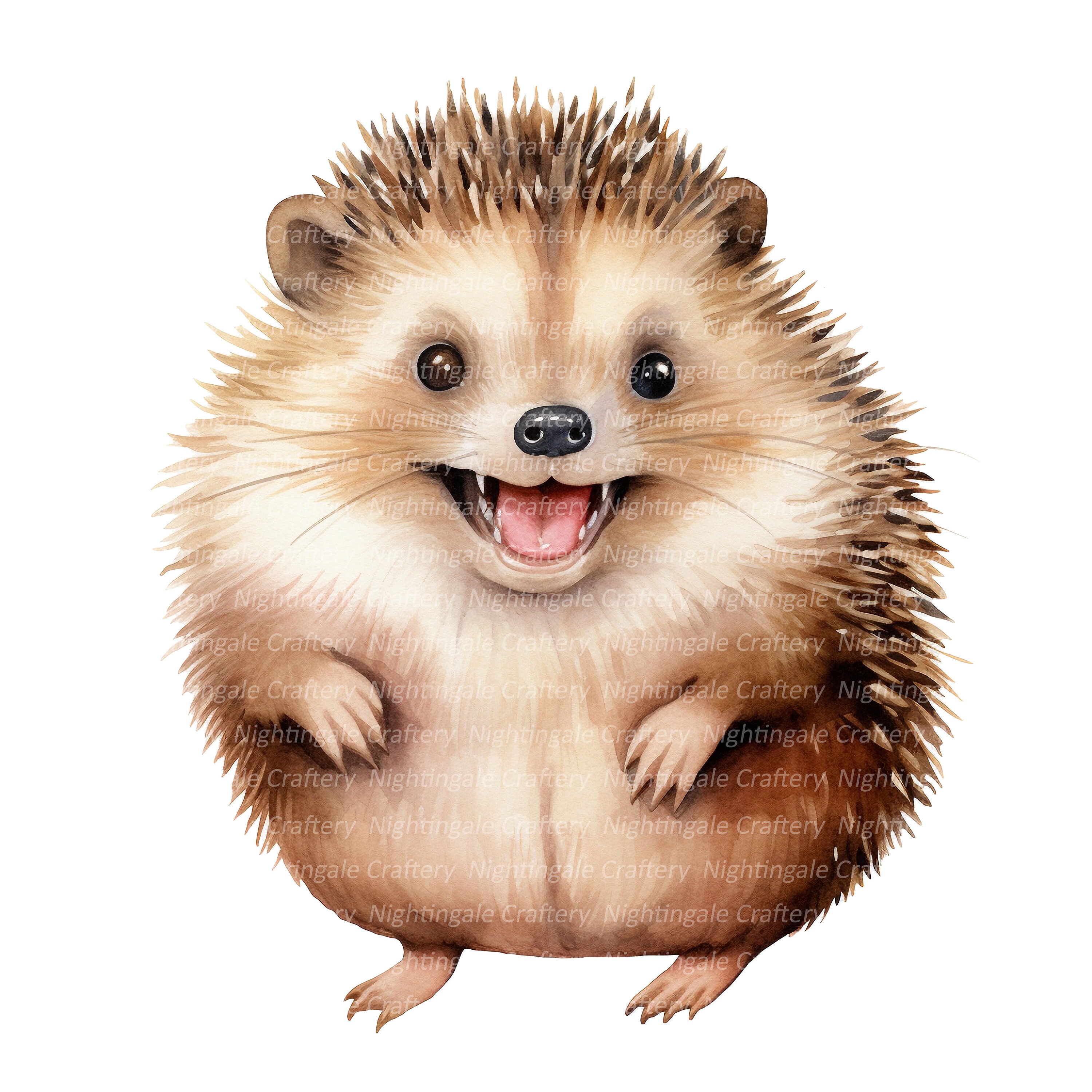 Happy Smiling Hedgehog Clipart, Printable Watercolor Clipart, 10 High ...