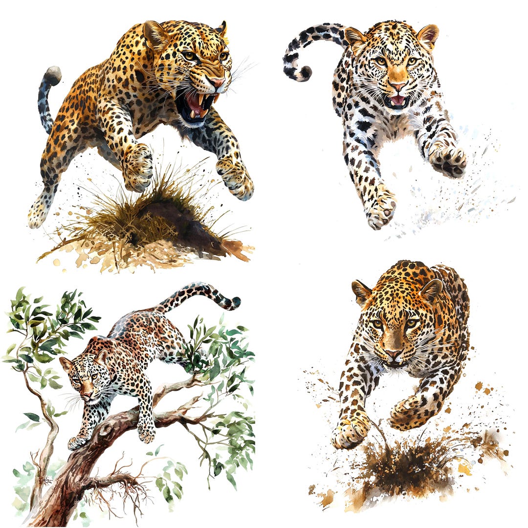 13 Leopard Jump Clipart, Leopard Attacking, Printable Watercolor ...