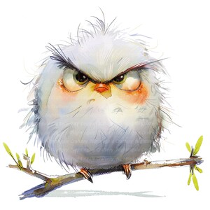 16 Grumpy Bird on Branch Clipart, Digital Clipart, Watercolor Clipart ...
