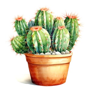 12 Cactus in Pot Clipart, Blooming Cactus, Printable Watercolor Clipart ...