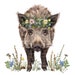 8 Wild Boar Floral Crown Clipart, Floral Boar, Printable Watercolor ...