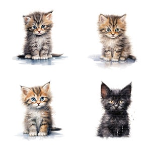16 Wet Kitten Clipart, Wetted Kitten, Printable Watercolor Clipart ...