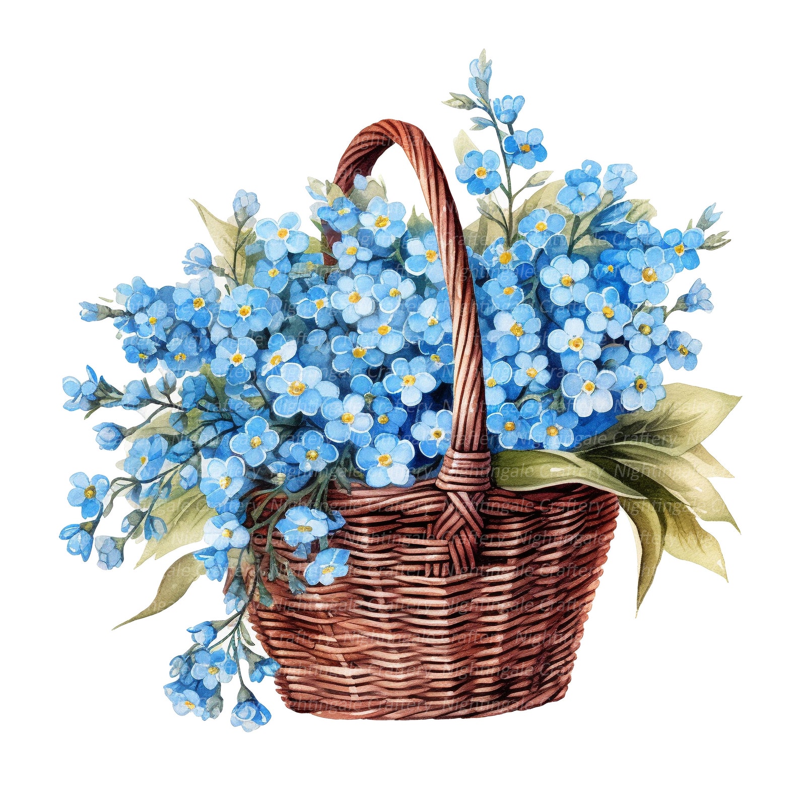 8 Forget Me Not Clipart Forget-me-not Basket Printable - Etsy