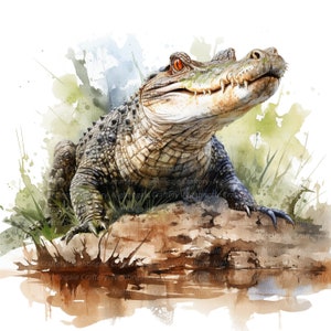10 Crocodile Clipart, Crocodile in Swamp, Printable Watercolor Clipart ...