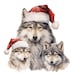10 Wolf Family Christmas Clipart, Christmas Wolf, Printable Watercolor ...