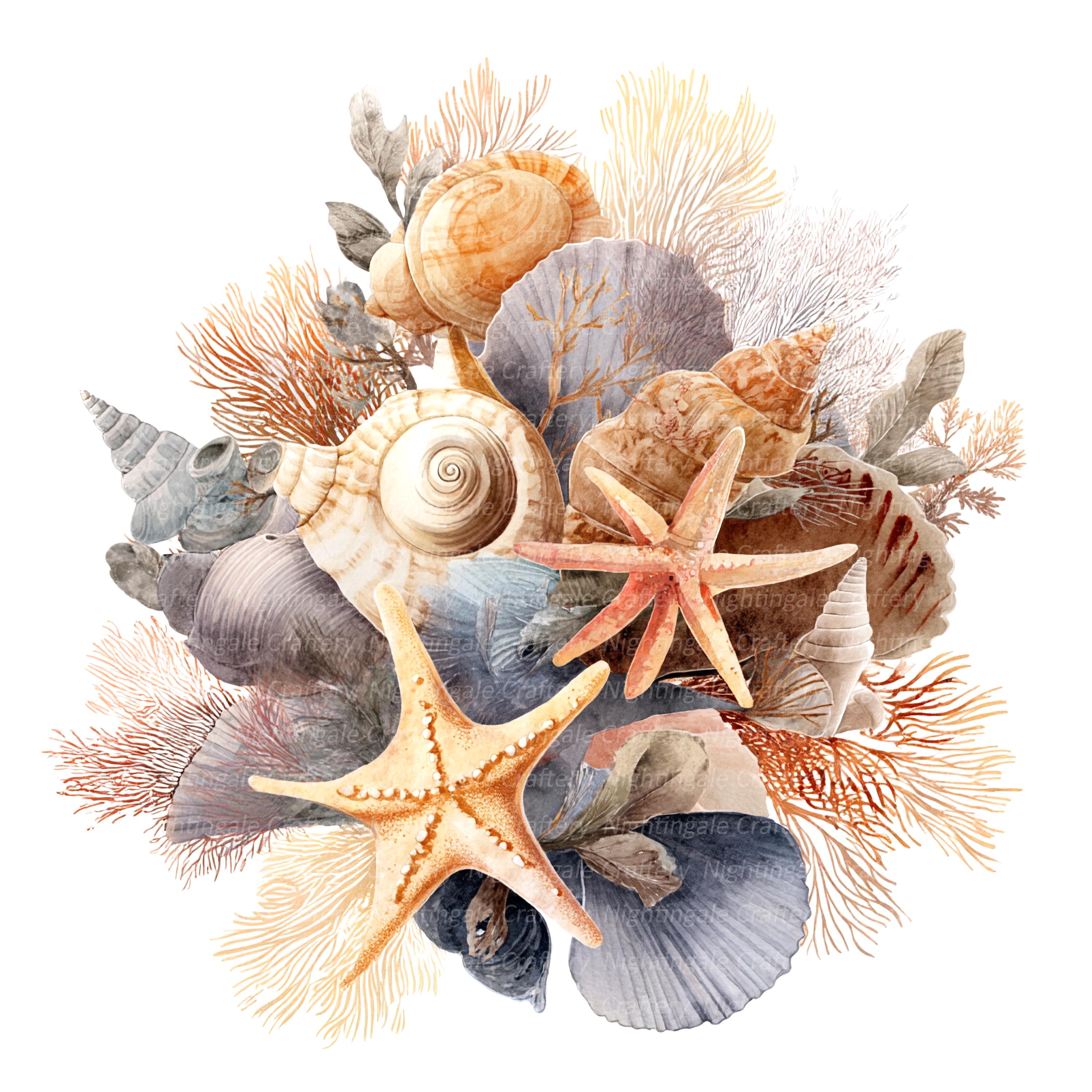 10 Boho Sea Shells Clipart, Seashell Clipart, Printable Watercolor ...