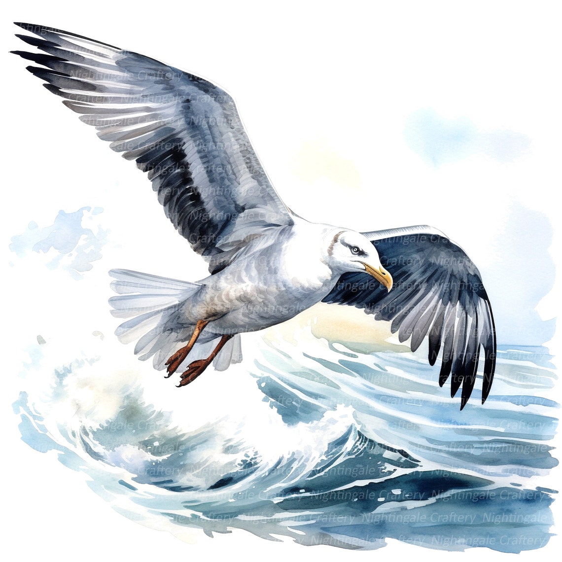 10 Seagull Clipart, Gull Clipart, Printable Watercolor Clipart, High ...
