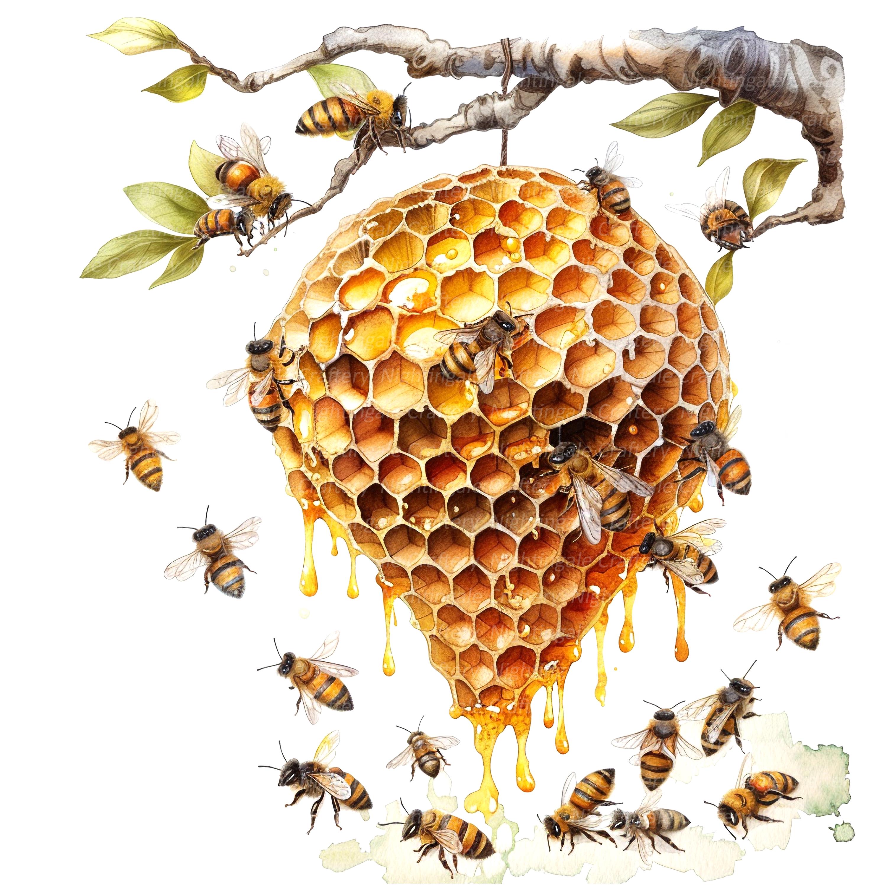 10 Bees Clipart, Honey Clipart, Beehive, Printable Watercolor Clipart ...