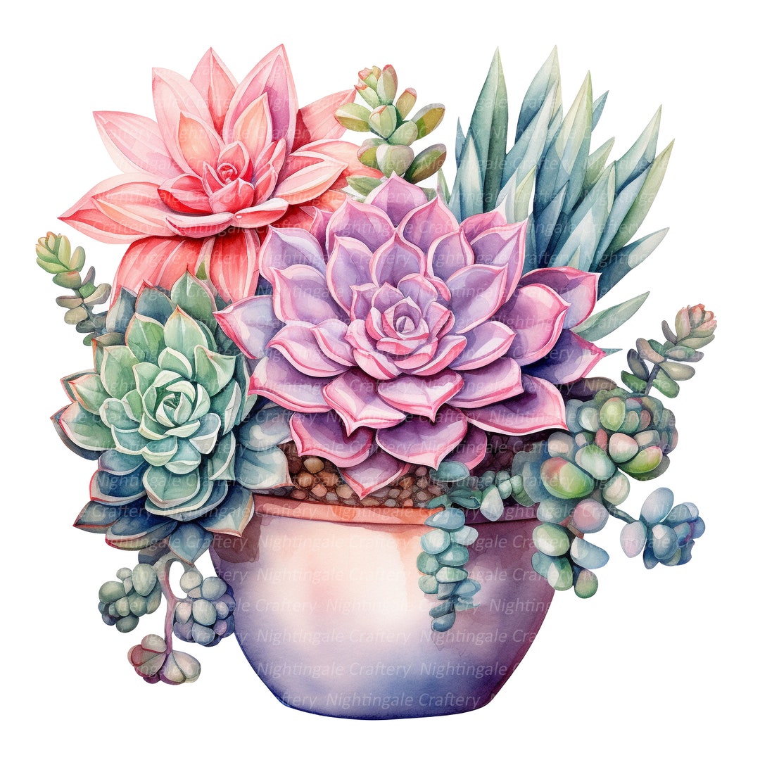 12 Potted Succulents Clipart, Succulent Pot, Printable Watercolor ...