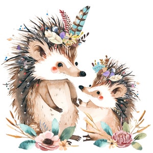 9 Hedgehog Family Cartoon Clipart, Boho Hedgehog, Printable Watercolor ...