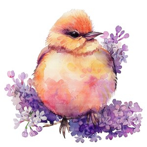 10 Whimsical Birds Clipart, Lilac Clipart, Digital Clipart, Watercolor ...