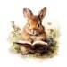 12 Bunny Reading Book Clipart, Bunny Clipart, Printable Watercolor ...
