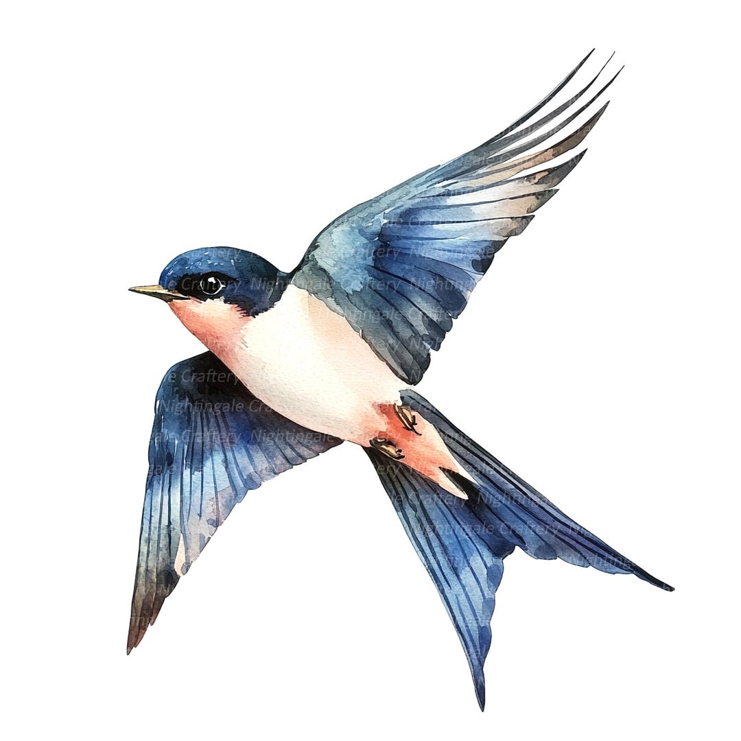 12 Swallow Clipart, Swallow Bird, Printable Watercolor Clipart, High ...