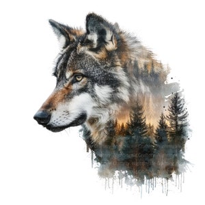 12 Wolf Wall Art, Wolf Photo, Printable Wall Art, High Quality Jpg/pngs ...