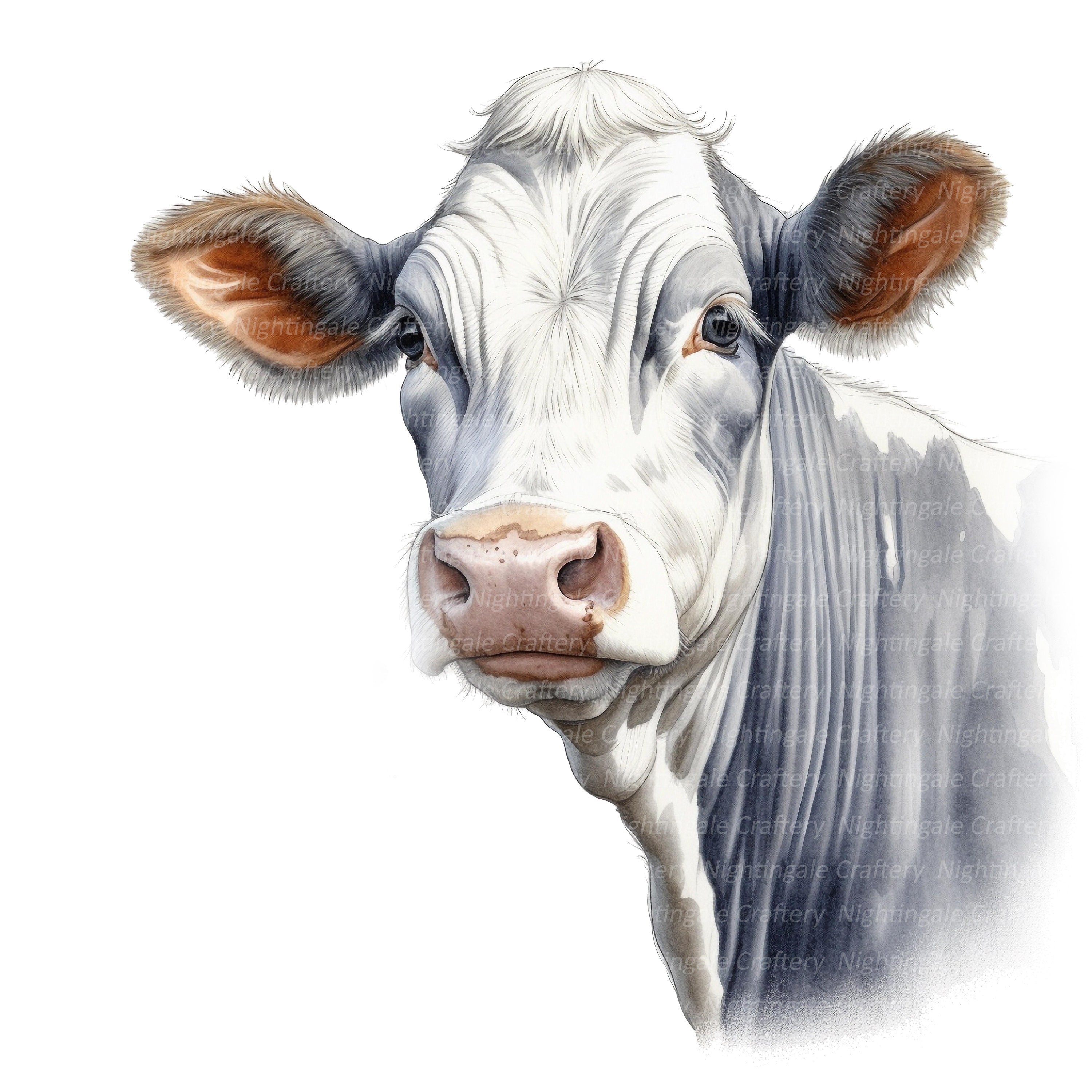 14 Cow Clipart Farm Clipart Printable Watercolor Clipart - Etsy Australia